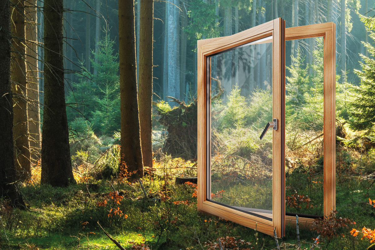 Wood Windows for Homes: Timeless Style, Energy Efficiency